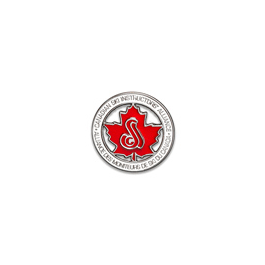 Level 2 Certification Pin